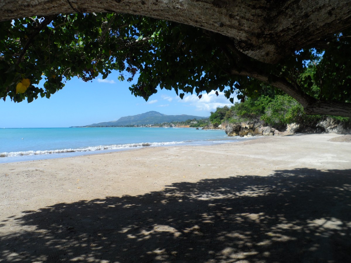 The Use of English in Jamaica – Life of a Jamaican